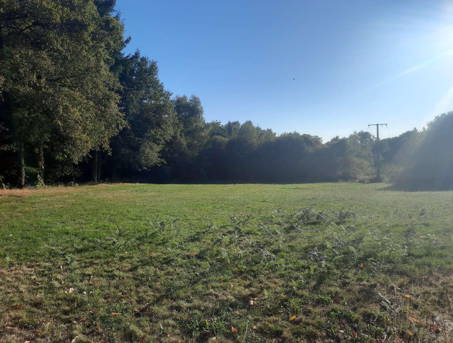 Vente Beau terrain arboré de plus d'un hectare pour plain-pied